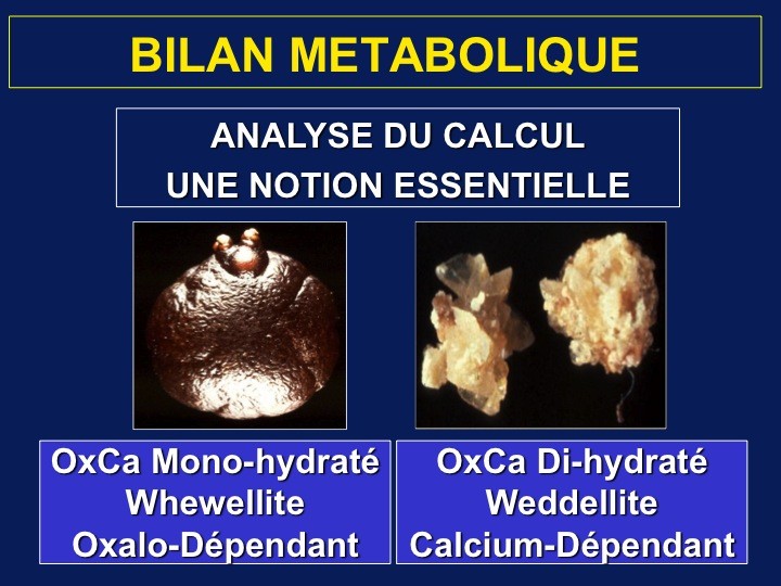 Urofrance | Urologie du Monde - Urofrance