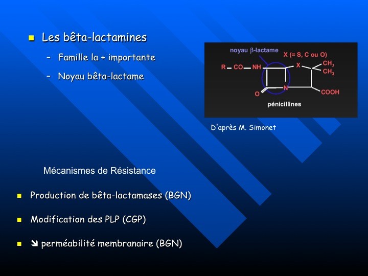 Urofrance | Qu'est-ce qu'une BLSE ? - Urofrance