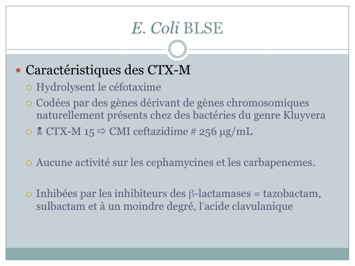 Urofrance | Qu'est-ce qu'une BLSE ? - Urofrance