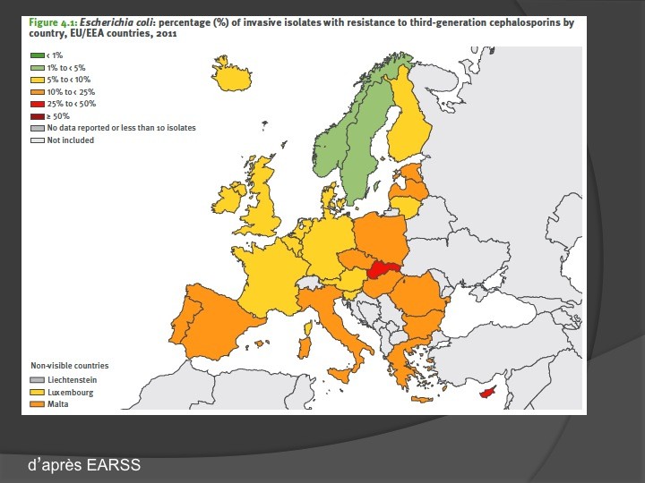 Urofrance | Qu'est-ce qu'une BLSE ? - Urofrance